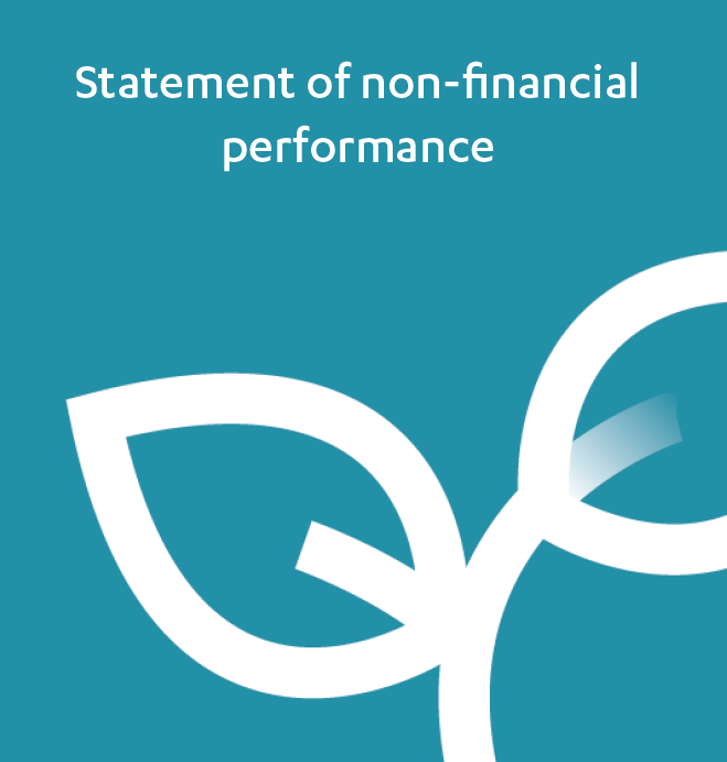 Statement of extra-financial performance 2020
