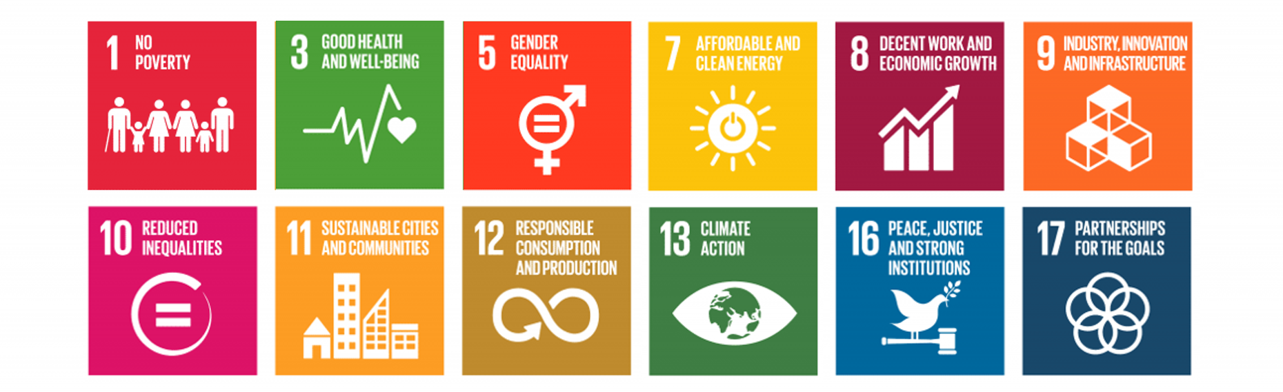 Our contribution to the UN sustainable development goals